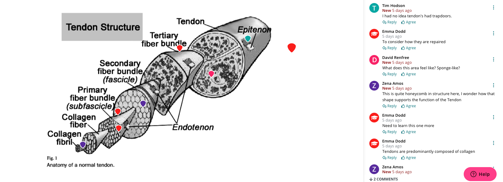 Annotation of images and non-text elements of resources – Talis Aspire