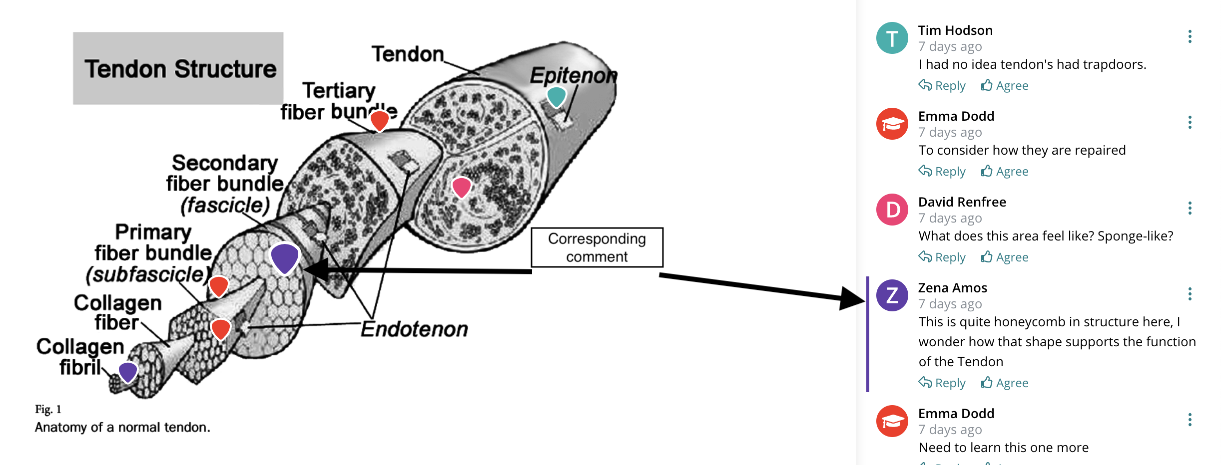 Annotation of images and non-text elements of resources – Talis Aspire